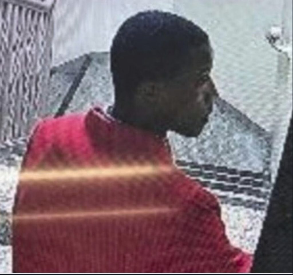 Former Intern of N.Y. City Council Speaker Arrested for Brooklyn ...