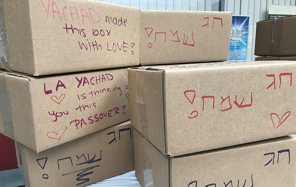 Yachad Fills Passover Boxes for Jewish U.S. Troops