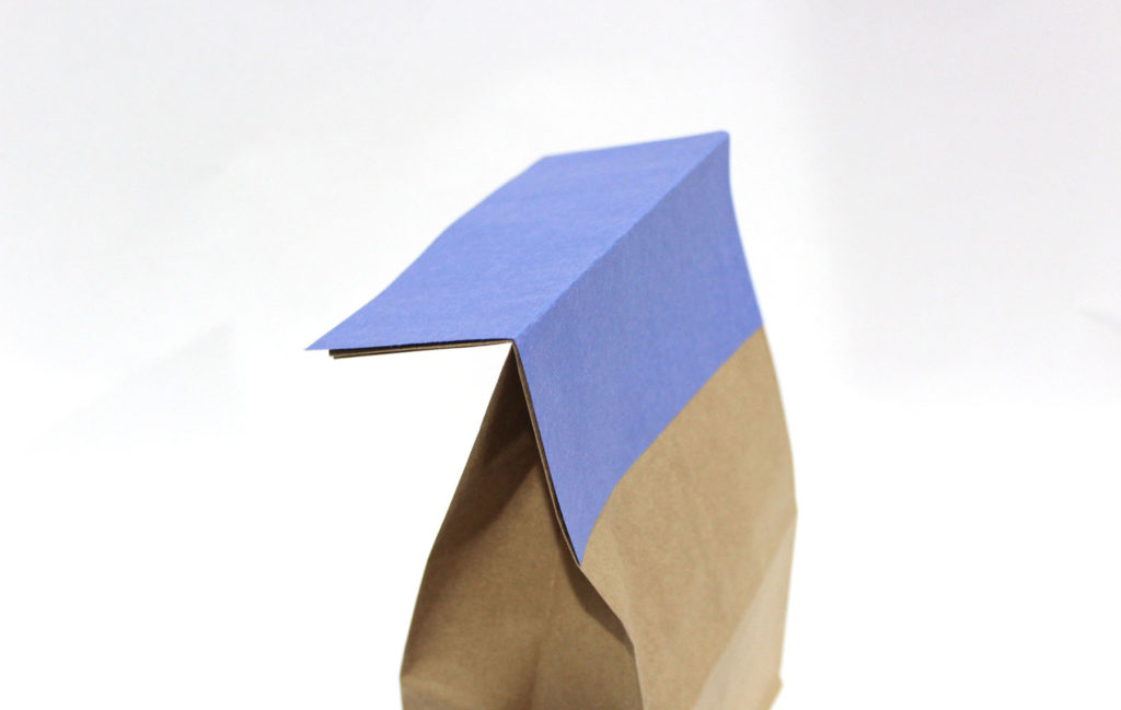 Craft DIY Backpack Paper Lunch Bags