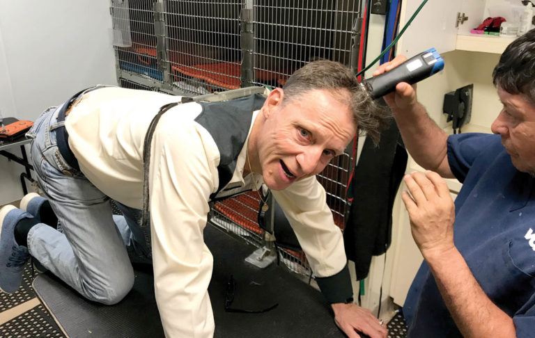 The Jewish Tradition of Haircuts