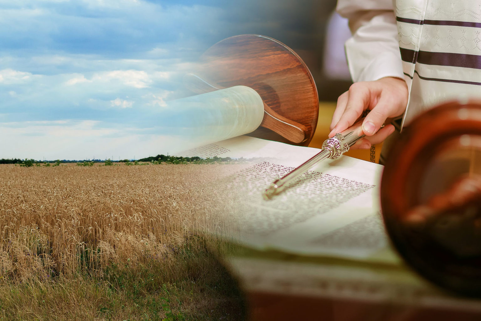 A Bisl Torah - Renewing our Vows
