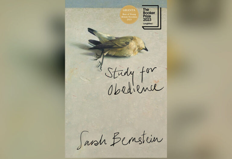 “The People Had Done it to Themselves”: Sarah Bernstein’s “Study for ...