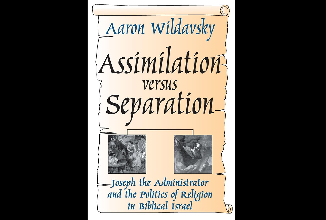 مشاهير مصر نيك