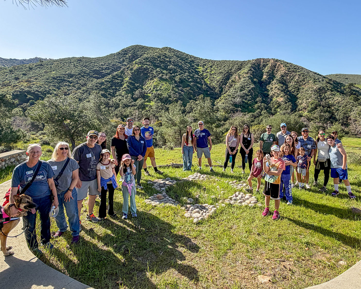 On Tu Bishvat, Camp Alonim Alumni Return to Camp for a Tree-Planting ...