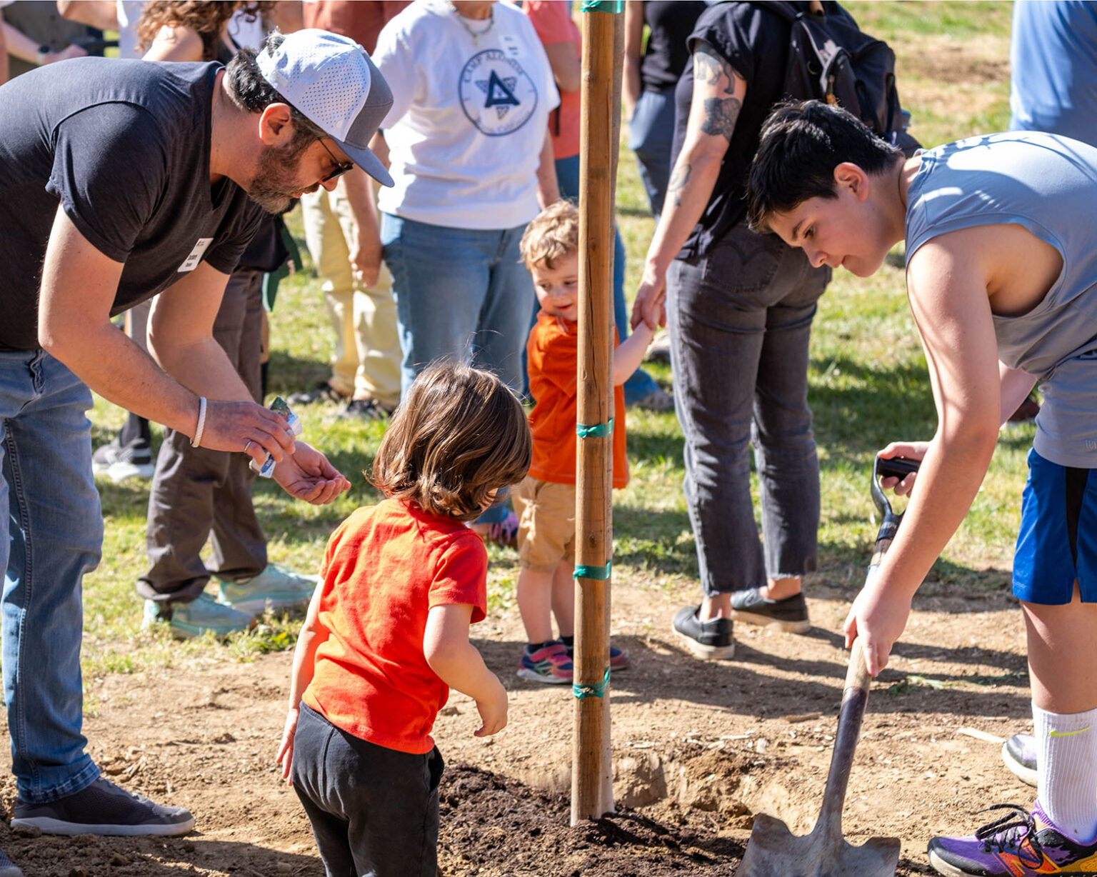 On Tu Bishvat, Camp Alonim Alumni Return to Camp for a Tree-Planting ...